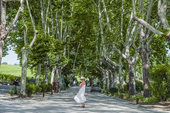 Authentic Douro Valley - Small-Group Tour (Max 7) - Inclusions and Logistics