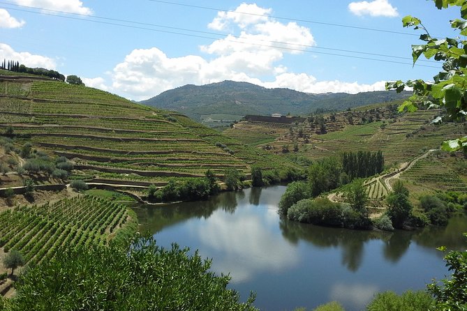 Authentic Douro Valley - Small-Group Tour (Max 7) - Booking Information