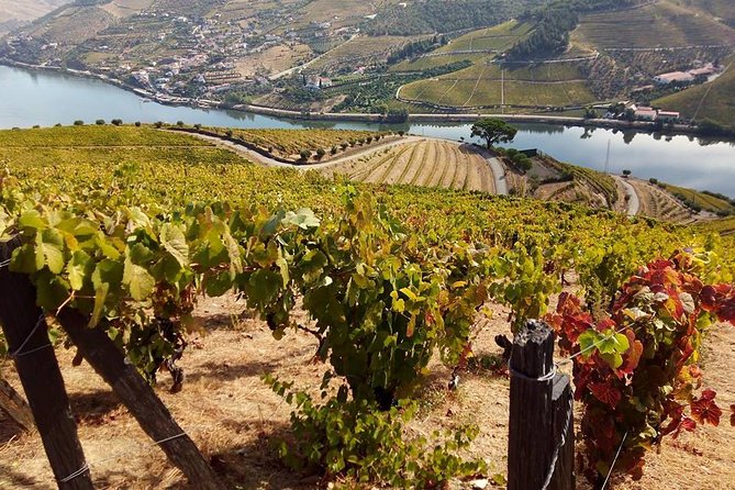 Authentic Douro Valley - Small-Group Tour (Max 7) - Traveler Experiences and Reviews