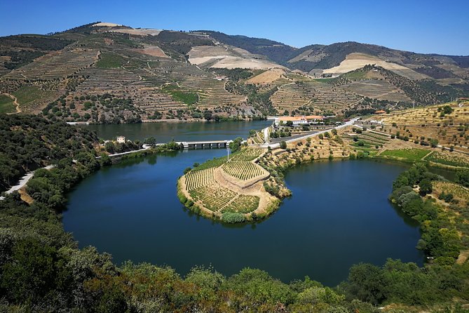 Authentic Douro Valley - Small-Group Tour (Max 7) - Douro Valley Landscape and Vistas