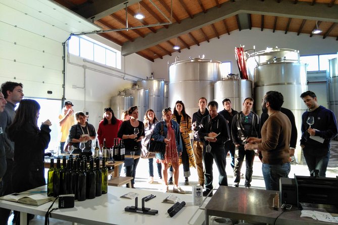 Authentic Experience in Organic Winery - Accessibility for All Travelers