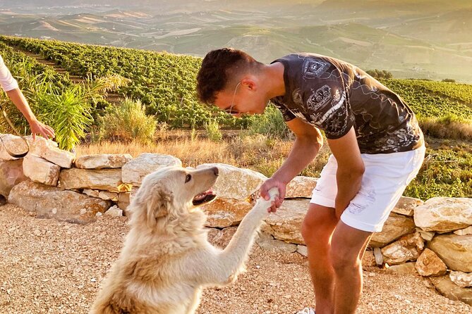 Authentic Experience in Organic Winery - Booking Information and Pricing