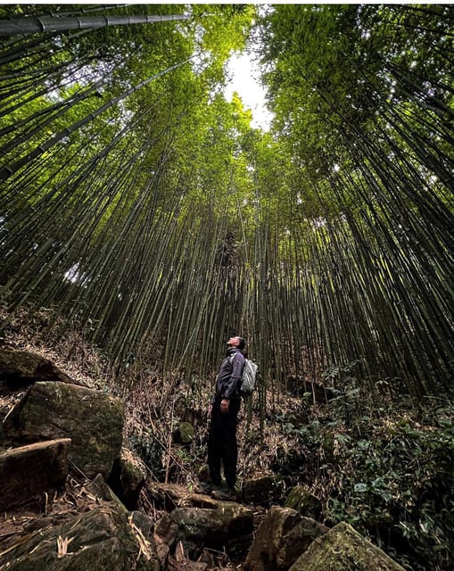 Authentic Experience,BambooForest,Waterfall ,LESS TOURIST - The Realities and Considerations