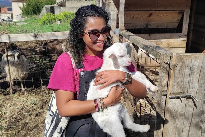 Authentic Garden to Table Cooking Class in Dubrovnik Countryside - Dietary Options for Every Palate