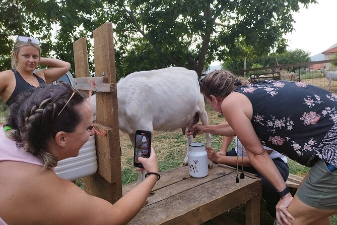 Authentic Garden to Table Cooking Class in Dubrovnik Countryside - Why Choose This Cooking Class?