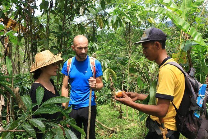 Authentic hike in the forest with lunch at the inhabitant - Key Points