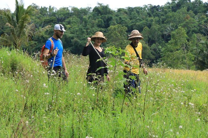 Authentic hike in the forest with lunch at the inhabitant - Why This Tour Might Be Perfect for You
