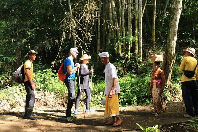 Authentic hike in the forest with lunch at the inhabitant - Final Thoughts: Is this the Bali experience for you?