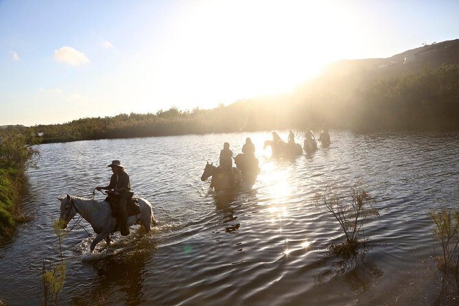 Authentic horseback riding in beautiful La Mision - Who Should Consider This Tour?