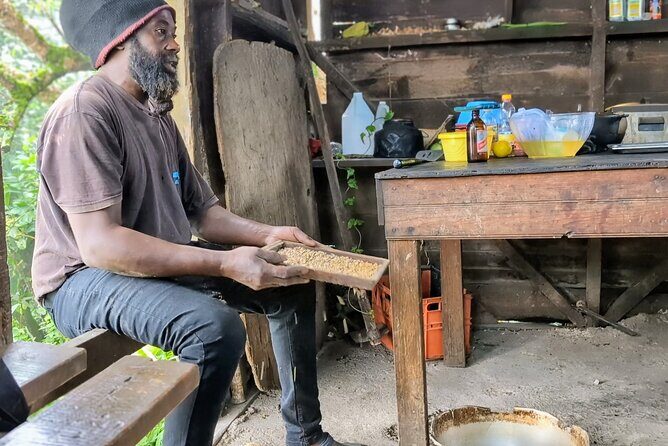 Authentic Jamaica: A Local's Guide Tour - Exploring the Blue Mountains and Coffee Culture