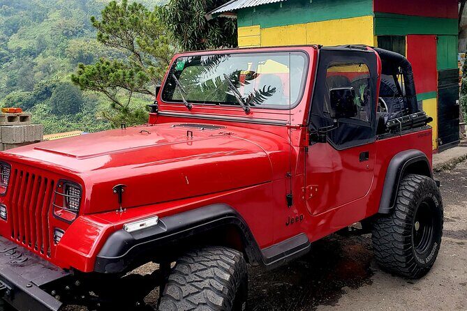 Authentic Jamaica: A Local's Guide Tour - Authenticity and Overall Value