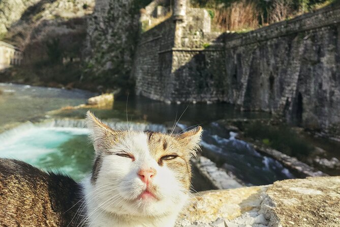 Authentic Kotor Old Town Walking Tour - Final Thoughts