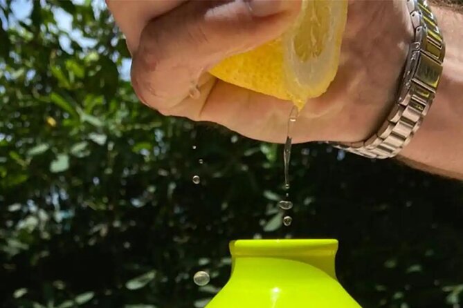 Authentic Lemon Experience at a Farm in Sorrento with Tastings - Who Should Consider This Tour?