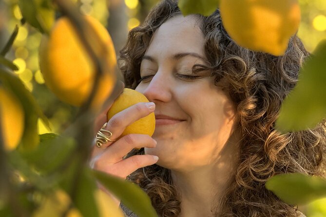 Authentic Lemon Experience at a Farm in Sorrento with Tastings - The Sum Up
