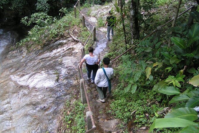 Authentic Mae Kham Pong Village Cultural Experience - The Sum Up: Is This Tour Right for You?