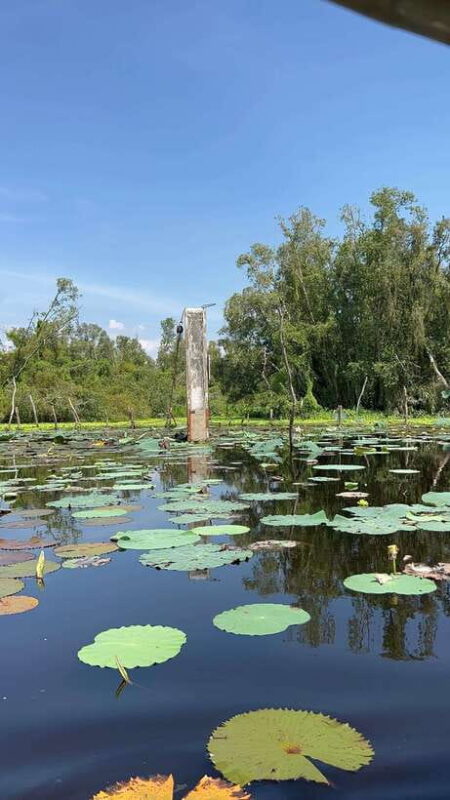 Authentic Mekong Delta Tan Lap Floating Village Private Tour - Savoring Local Cuisine