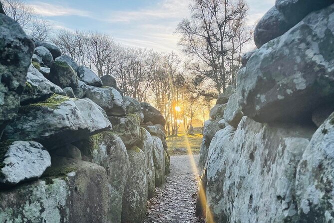 Authentic Mini Highland Adventure From Invergordon - Tour Experience