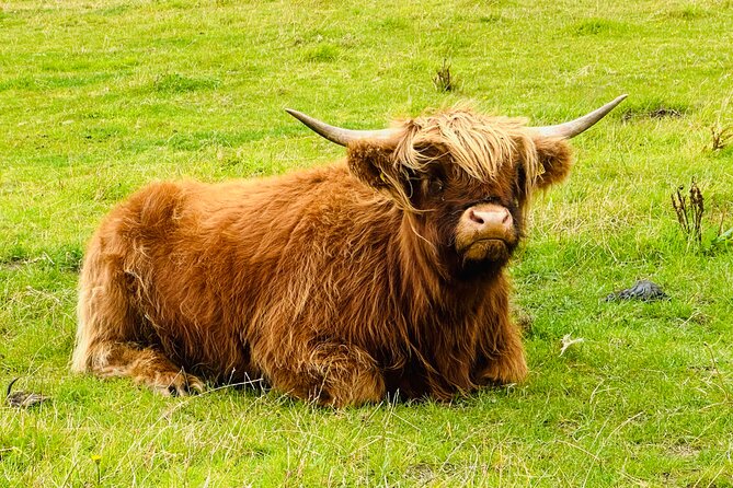 Authentic Mini Highland Adventure From Invergordon - Exploring Loch Ness