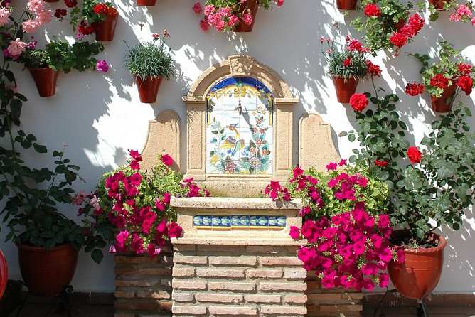 Authentic Patios of Cordoba Guided Tour - Meeting Point and Tour Logistics