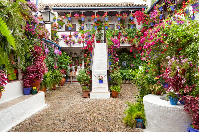 Authentic Patios of Cordoba Guided Tour - Inclusion and Exclusions