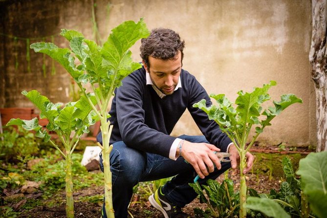 Authentic Portuguese Cooking Class and Dinner in a Lisbon Home - Pricing and Availability