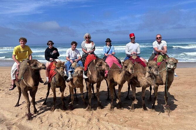 Authentic Private Tangier Tour from Estepona Camel Ride & Lunch - The Experience in Detail