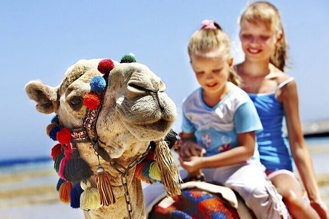 Authentic Private Tangier Tour from Estepona Camel Ride & Lunch - Who Should Consider This Tour?