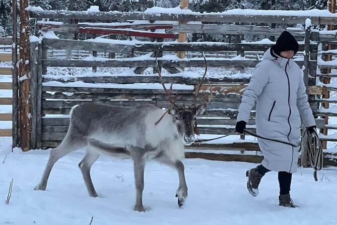 Authentic Reindeer Experience and Ice Fish with Lunch in the Wild - Who will love this tour?