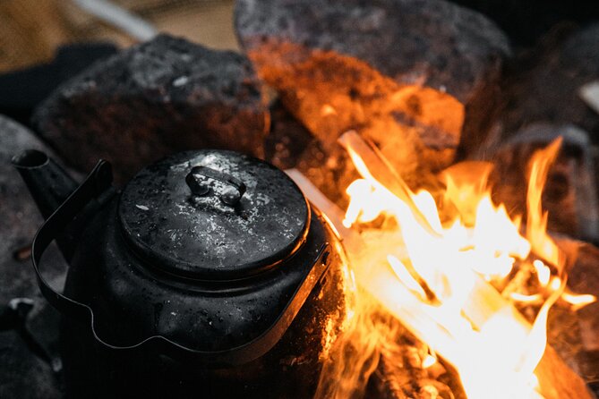 Authentic Reindeer experience in the wilderness in Levi - Pricing and Value