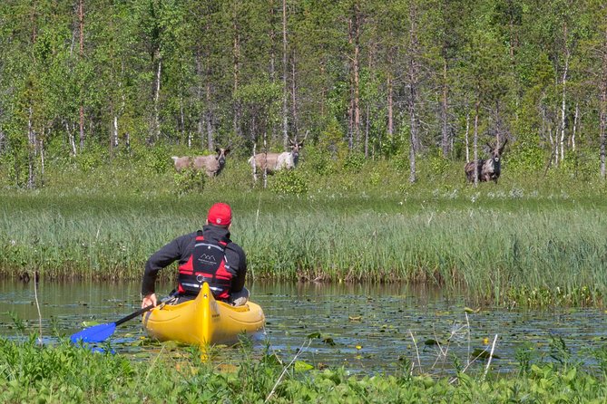 Authentic Reindeer Farm and Canoe Experience From Rovaniemi. - Inclusions and Pickup Details