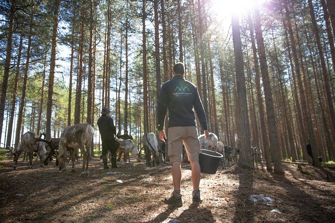 Authentic Reindeer Farm and Canoe Experience From Rovaniemi. - Cancellation and Confirmation Policy