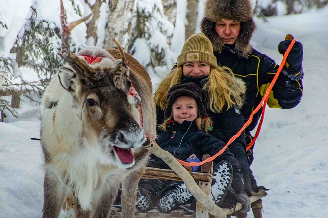 Authentic Reindeer Farm Experience in Rovaniemi - Sleigh-Driving Experience on Snow