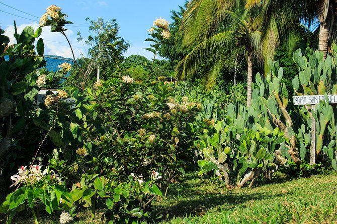 Authentic Rural Mexican Experience Adventure - Who Will Love This Tour?