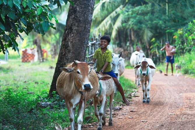 Authentic Siem Reap: Tuk Tuk Countryside and Sunset Tour - The Guide and Authentic Encounters