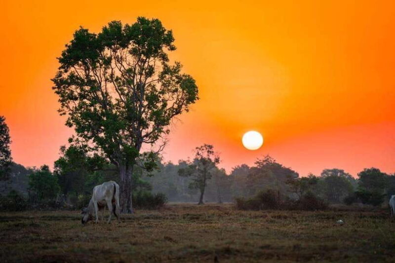 Authentic Siem Reap: Tuk Tuk Countryside and Sunset Tour - Key Points