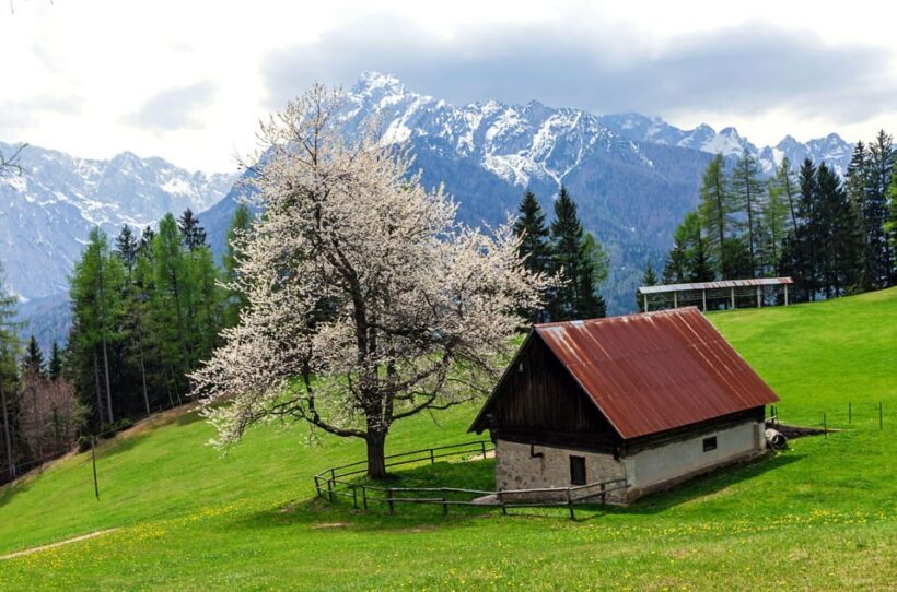 Authentic Slovenia: A Mystery Travel Day Tour - A Closer Look at the Experience