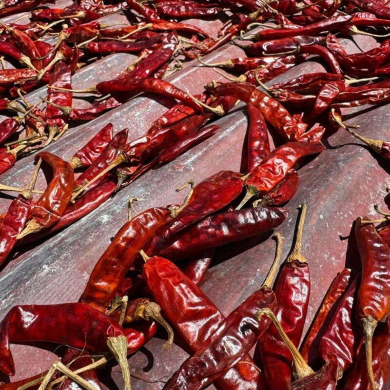 Authentic Sri Lankan Village Experience with Local Family - Who Will Love This Tour?