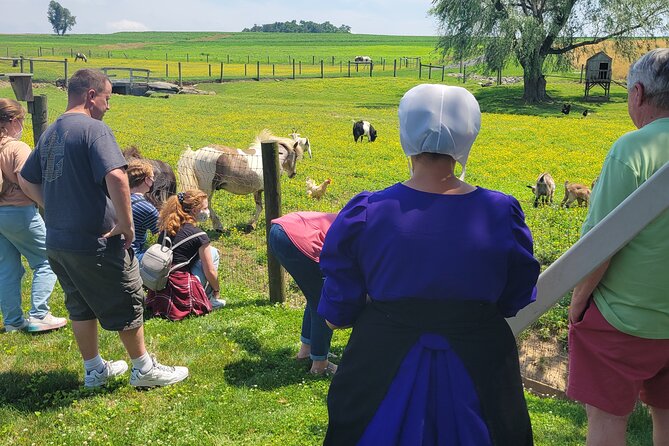 Authentic Tour & Meal with the Amish! - What to Expect and What to Keep in Mind