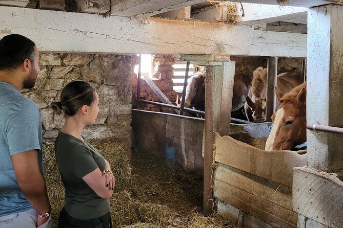 Authentic Tour & Meal with the Amish! - Final Thoughts