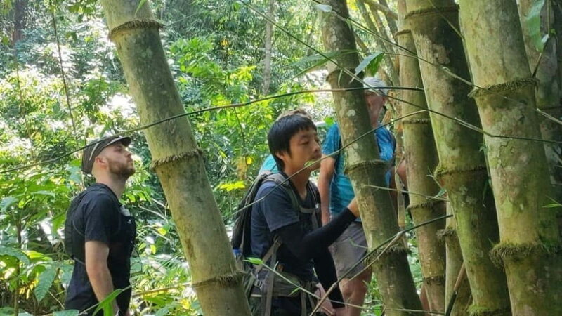 Authentic trek only walk in Chiang Rai jungle - Who Will Love This Tour?