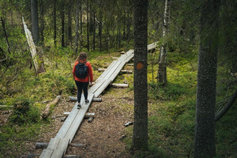 Auttiköngäs Hiking Experience - Exploring the Itinerary and Experience