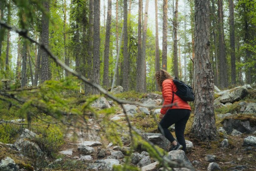 Auttiköngäs Hiking Experience - What We Love and What to Consider