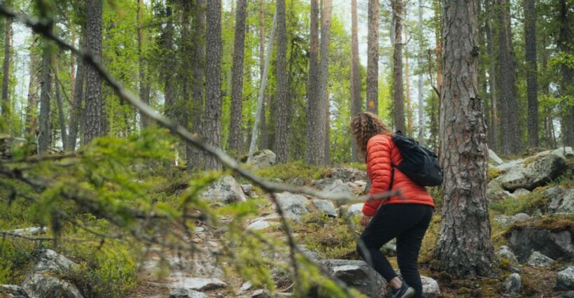 Auttiköngäs Hiking Experience - Who Will Love This Tour?