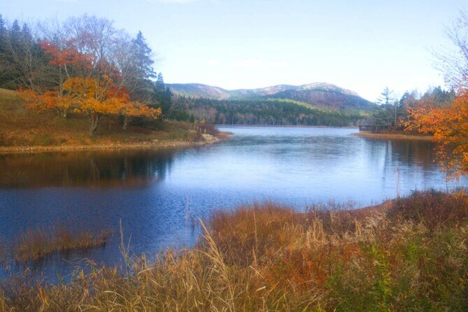 Autumn in Acadia National Park Private Leaf Peeper Driving Tour - Frequently Asked Questions