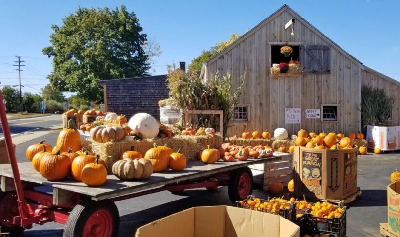 Autumn in New England - FAQ