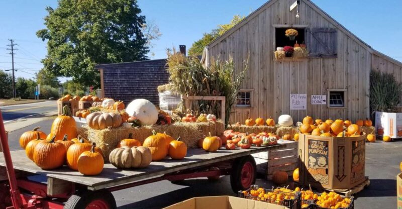 Autumn in New England - Practical Details and Tips