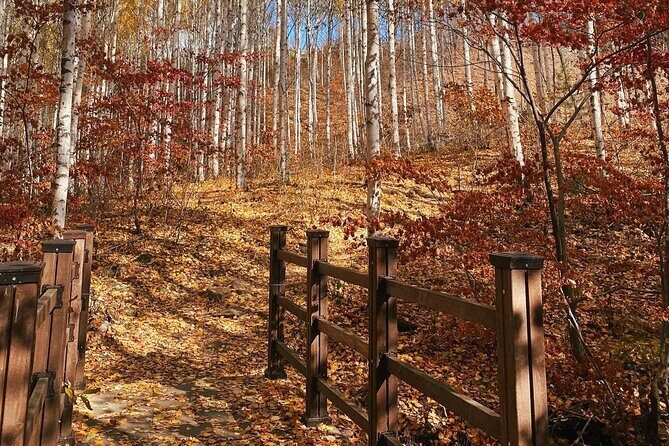 Autumn Trip for Birch Forest and Garden of Nature and Flower Fest - Exploring the Itinerary in Detail