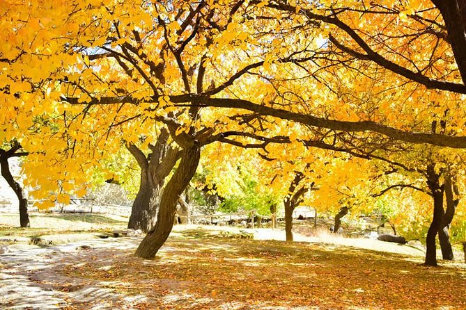 Autumn Trip to Hunza Valley & Skardu- Pakistan - (12D 11N) - Key Points