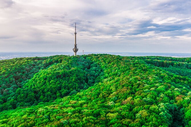 Avala Mountain Private Tour - The Cost and Value of the Avala Mountain Tour