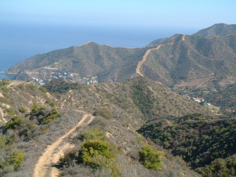 Avalon, Catalina Island: 2-Hour Inside Adventure Tour - Who Will Love This Tour?